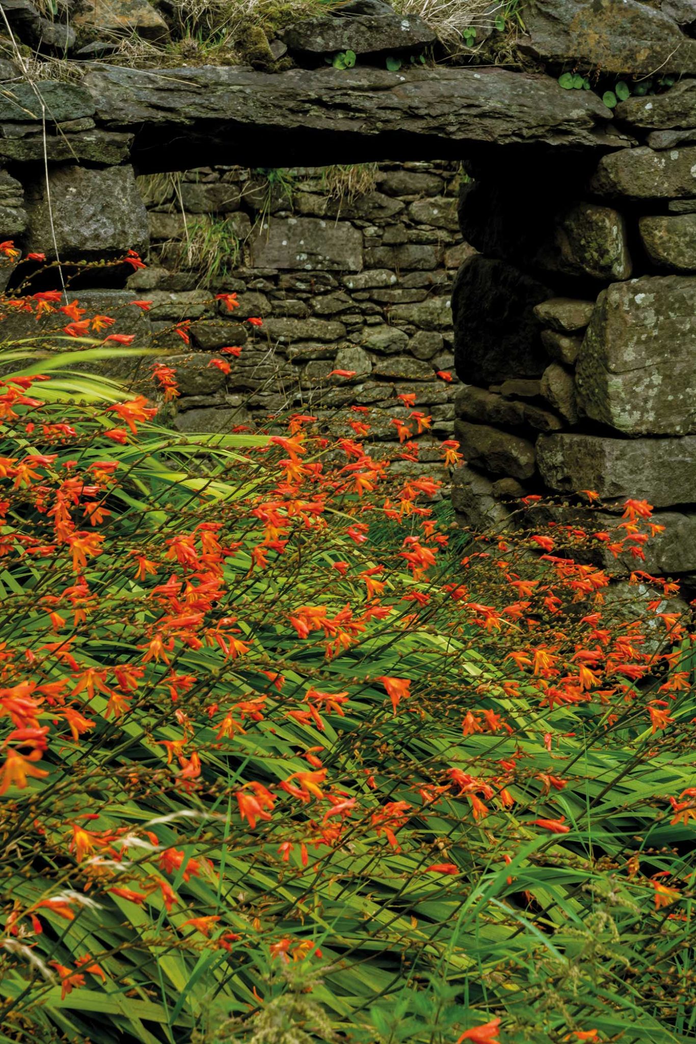 Castlegregory to Inch via Camp Mountain Road – Castlegregory.ie